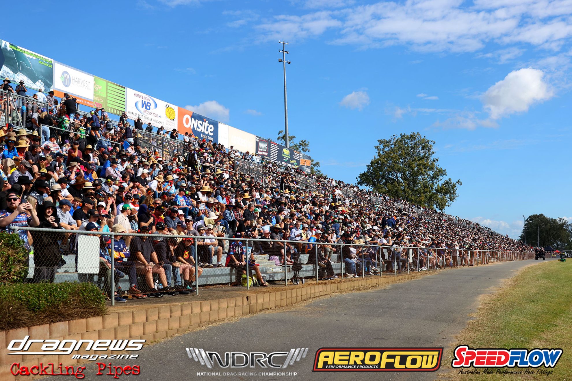 RECORD-BREAKING SATURDAY SEES STAGE SET FOR WONDERFUL WINTERNATS SUNDAY ...